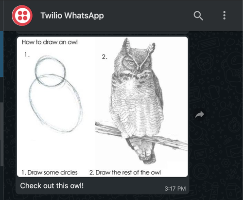 How to Send a Picture on WhatsApp Using Twilio and Python