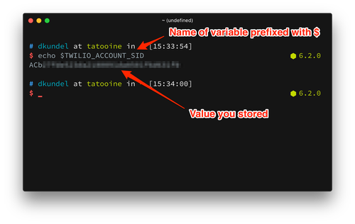 How To Set Environmental Variables Twilio